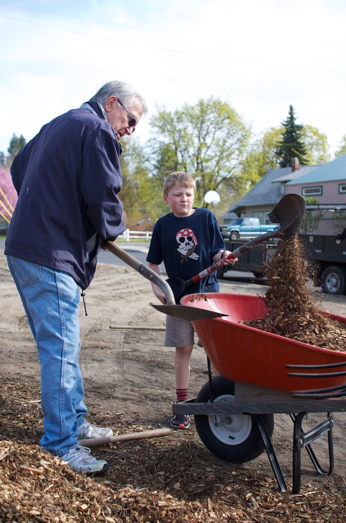 Photos from the Tree Planting on N. Maple – Emerson-Garfield Community