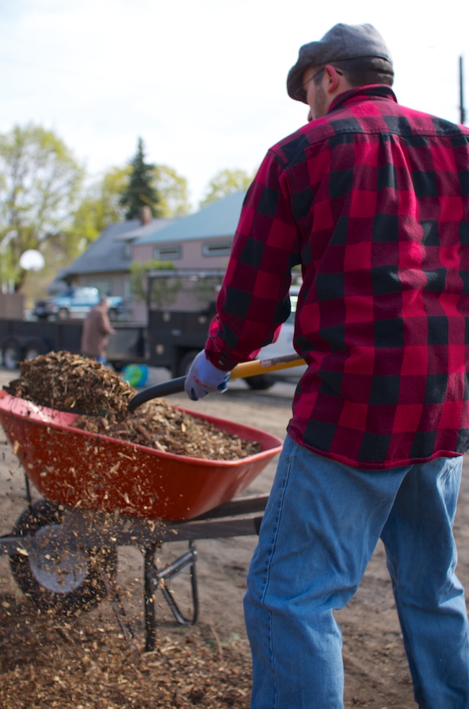 Photos from the Tree Planting on N. Maple – Emerson-Garfield Community