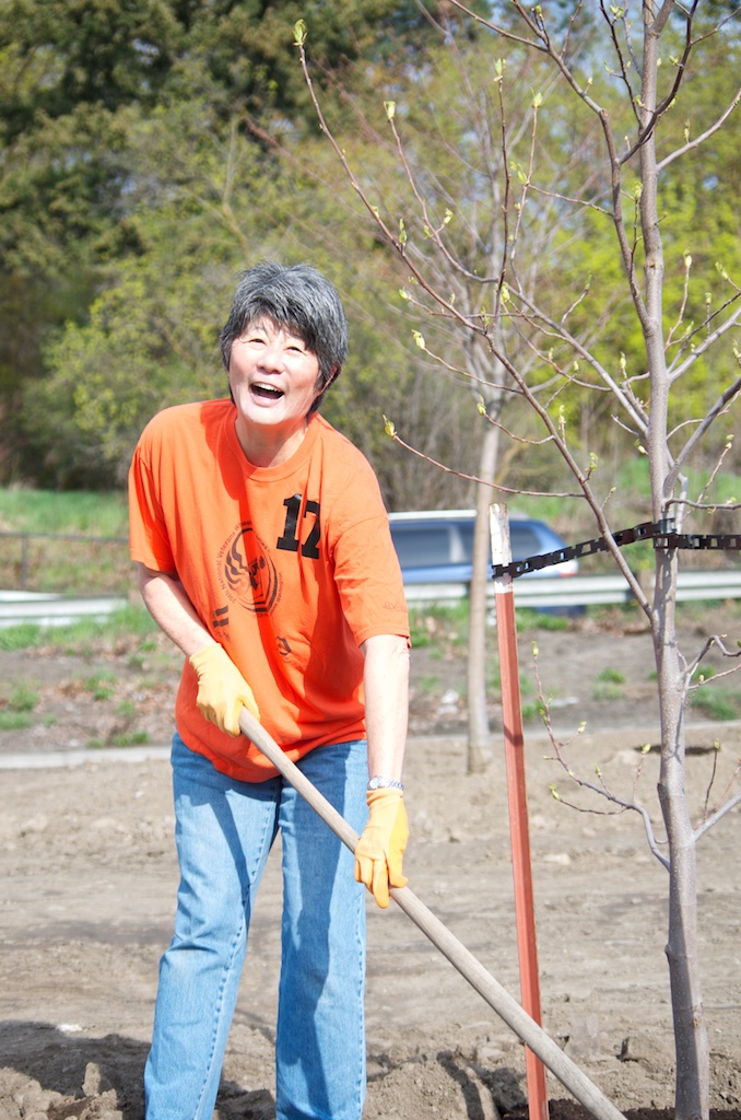 Photos from the Tree Planting on N. Maple – Emerson-Garfield Community