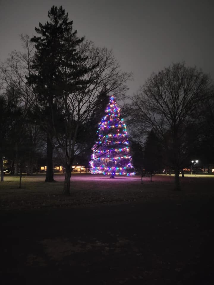 The Corbin Park Tree Lighting Needs Community Help – Emerson-Garfield ...